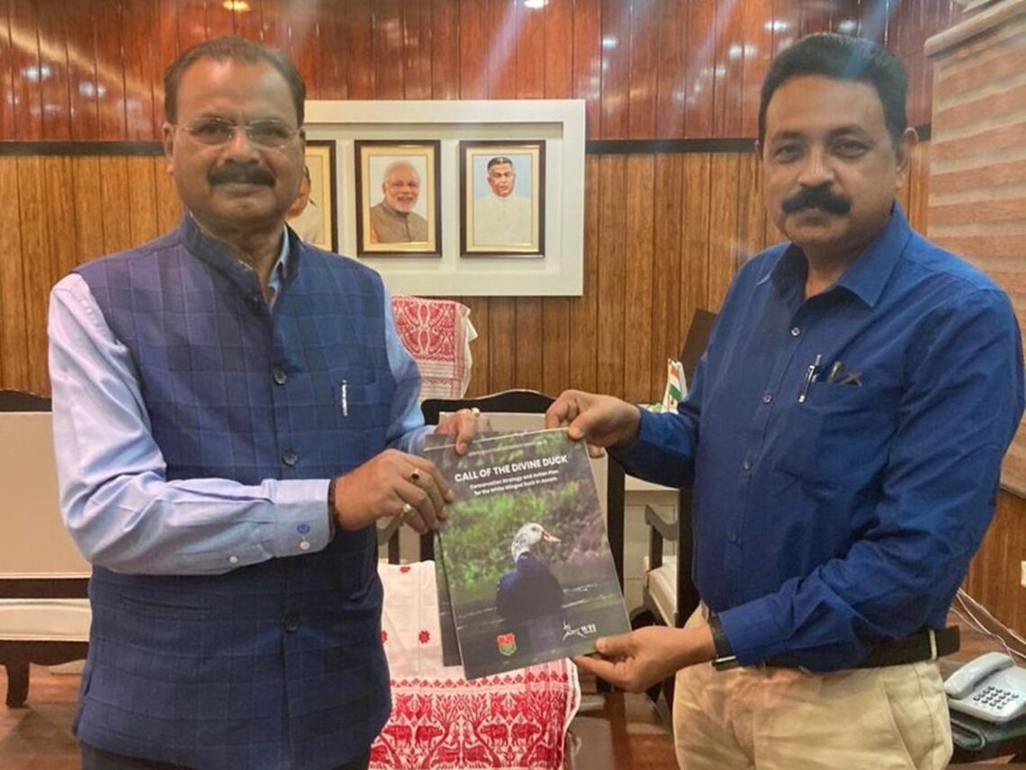 Assam govt unveils roadmap to save state bird, white-winged duck ...